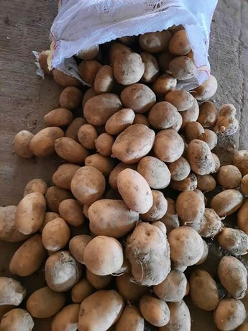 The method of storing potatoes that is dangerous to the human body ...